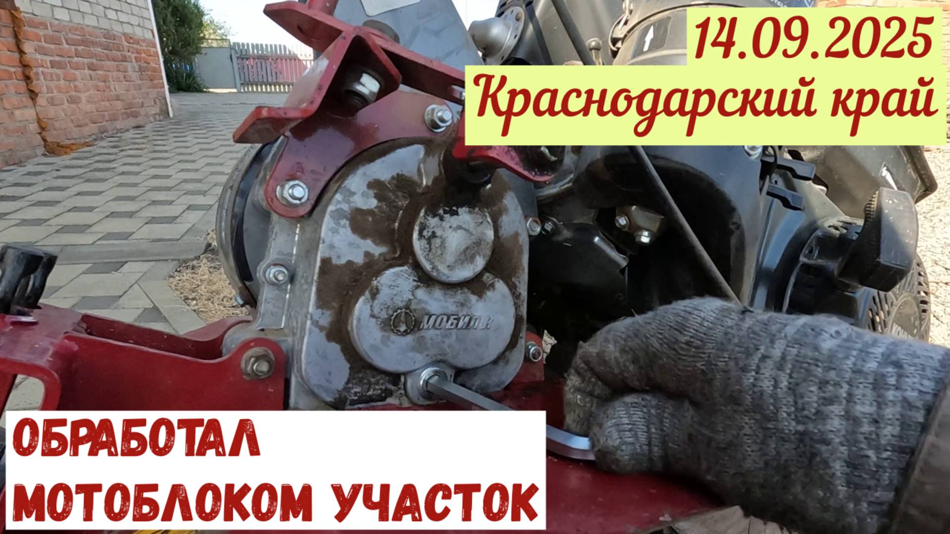 Мысли вслух. Обрабатываю участок. Долил масло в редуктор мотоблока(14.09.2025)