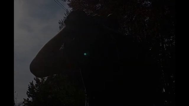 Восьмой Континент Трейлер