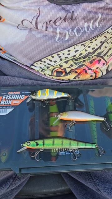 Топ 3 воблеров для ловли щуки