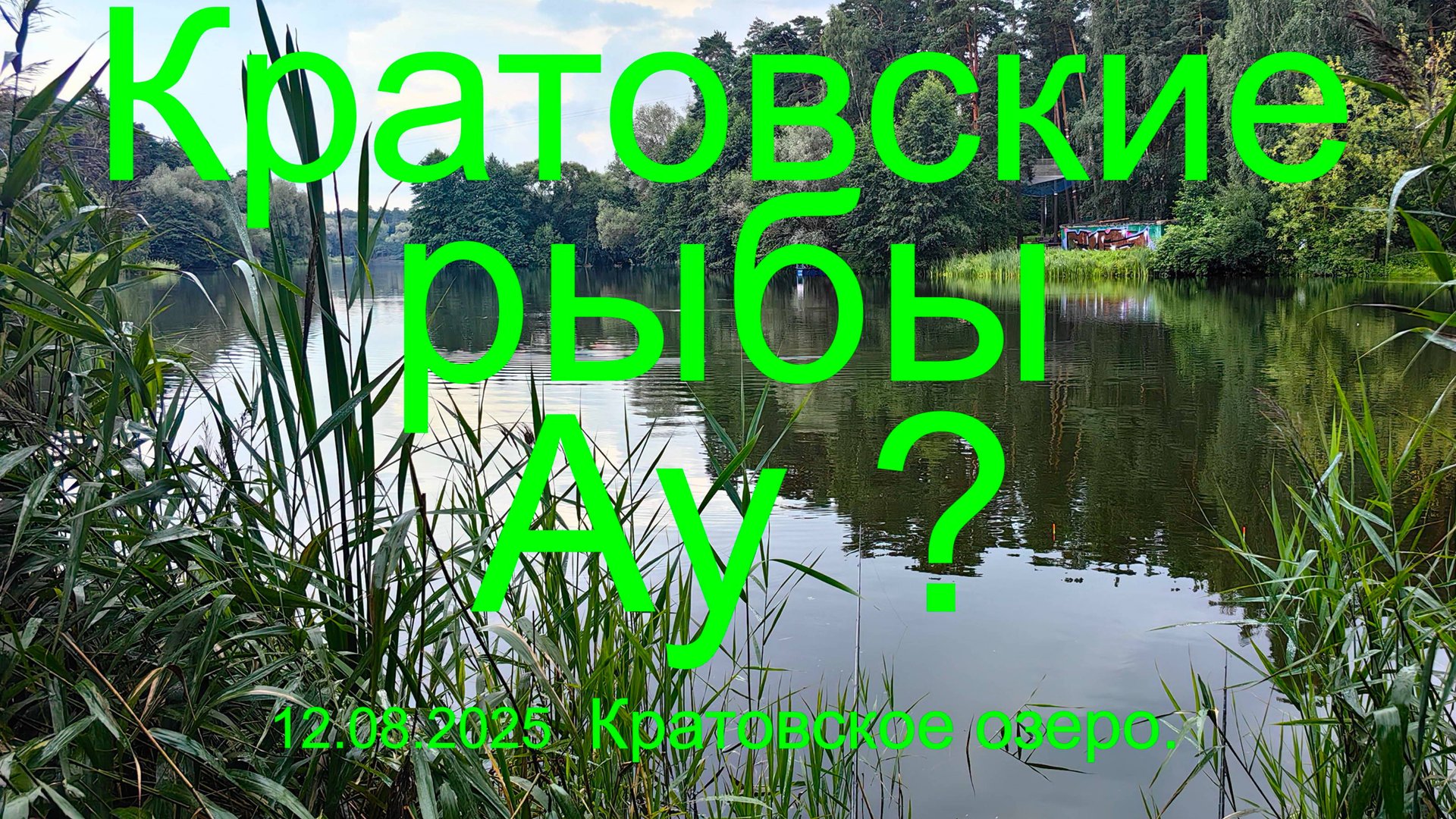 Кратовские рыбы. Ау ? 12.08.2025. Кратовское озеро. 12.08.2025. Рыбалка в Подмосковье.