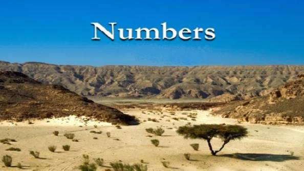 22. ПОЧЕМУ БОГ ПОЗВОЛЯЕТ ТО, ЧТО НЕ ОДОБРЯЕТ_Числа_КТ, Миссионерский центр "Святая радость"