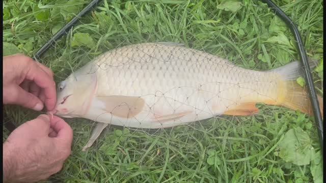 10 кг рыбы! Дилетанты на рыбалке! Солнечногорск.