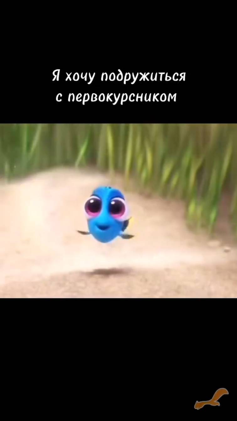 Как познакомиться с первокурсником #shorts