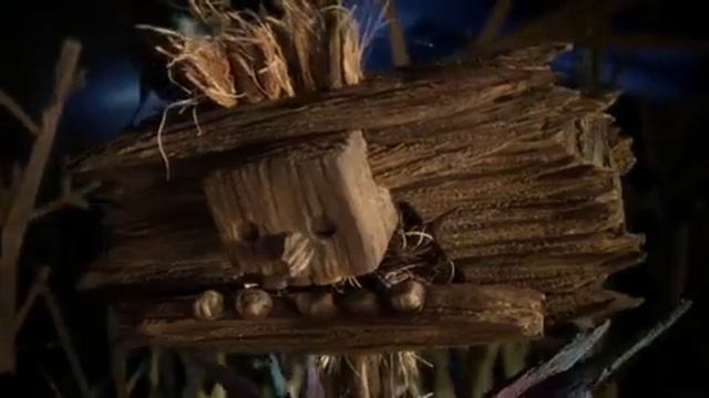 How blind seven-year-old Emily imagines...