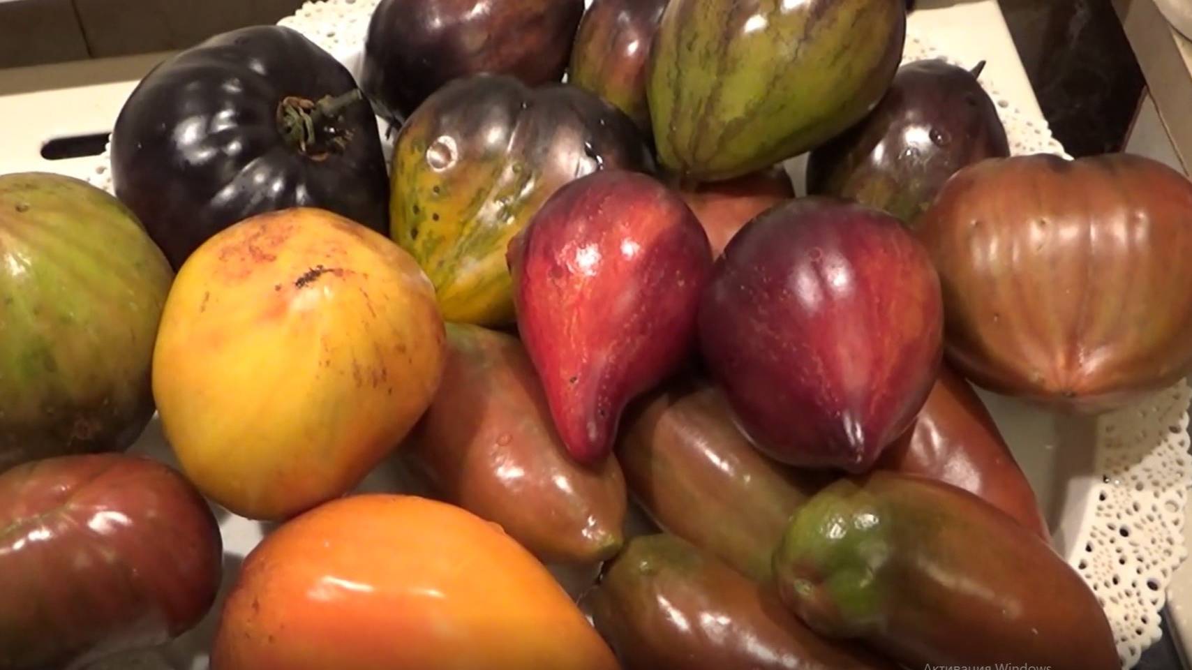 Томаты экзоты