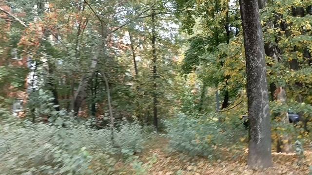 ХОББИ-ВЛОГ. Осенний пейзаж. Закупочка в пятёрочке. Раскраска по полосочкам.