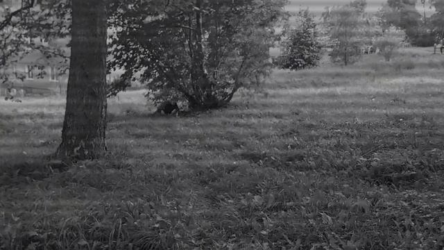 Мой самый страшный выпуск часть 2