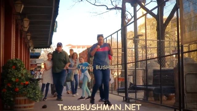 Bushman Prank_ Finding Joy 2025