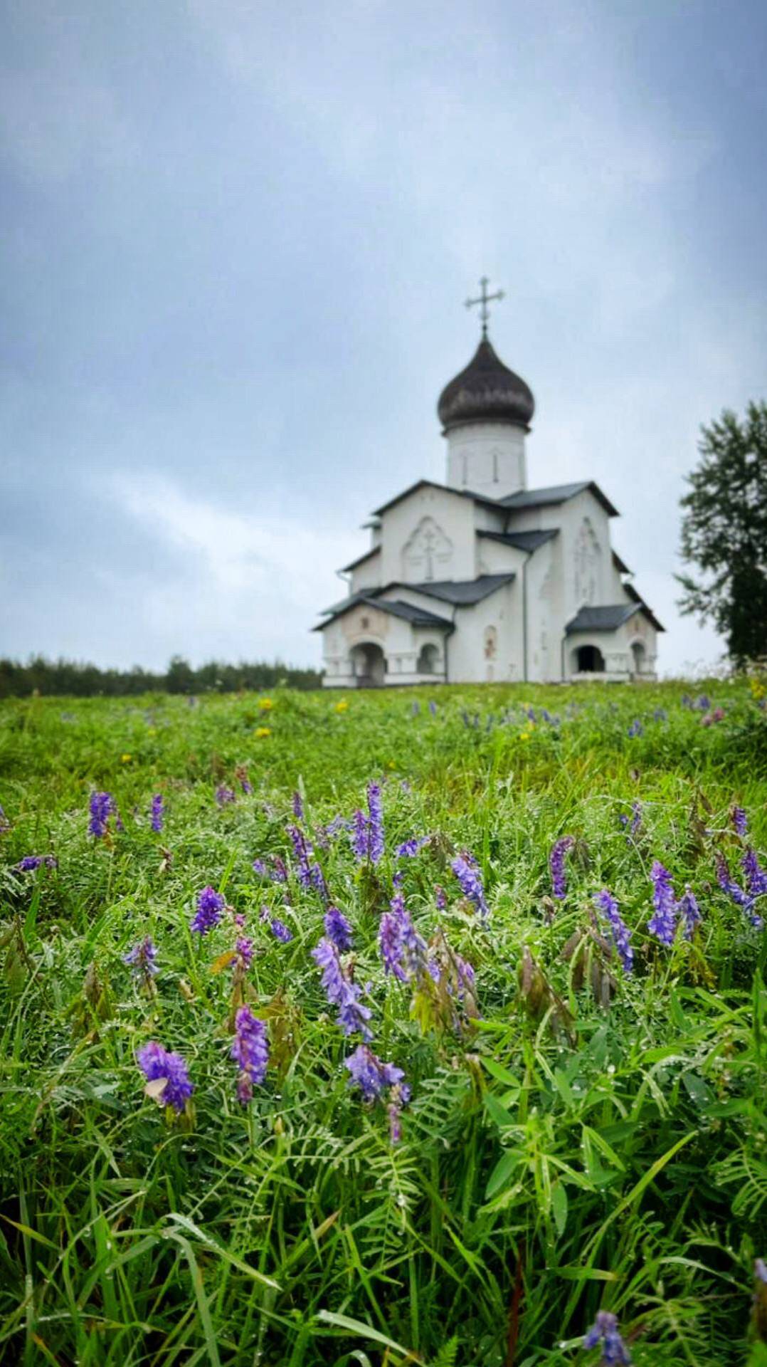ЦИТАТЫ О ЛЮБВИ | СВТ ИОАНН ШАНХАЙСКИЙ #вечная_любовь #вечнаялюбовь #цитаты_о_любви #цитатыолюбви
