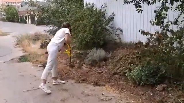 Облагораживание Универсолиса перед Форумом МаЭД, Елена Цисарь. Мир Универсологии