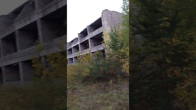 Недострой (Дом Пионеров) ЗАТО Мирный Архангельской области.