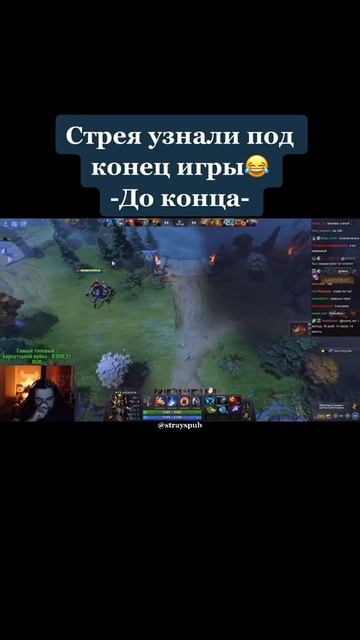 Это точно он??  #stray228 #stray228_top_moments