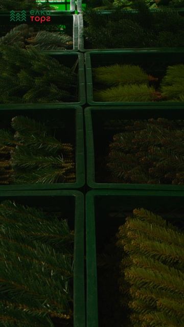 ЕлкиТорг - производитель искусственных елок и хвойного декора. reel_3