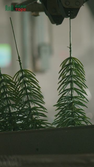 ЕлкиТорг - производитель искусственных елок и хвойного декора. reel_1