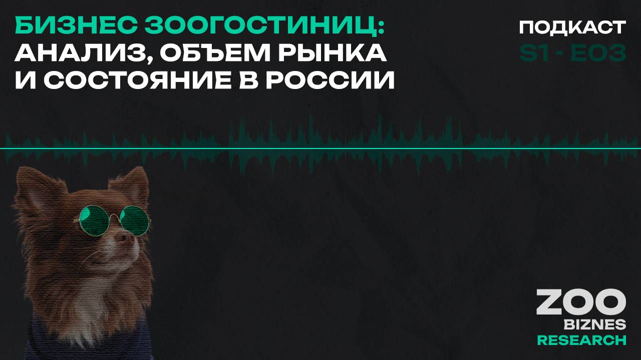 Почему зоогостиницы стали золотой жилой в 2025? 🎙️Бизнес гостиниц для животных в России