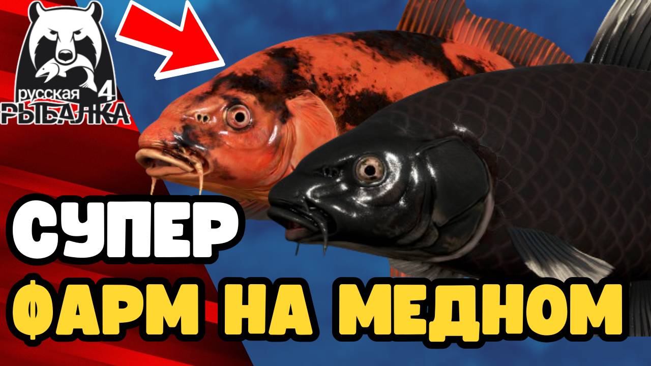 🤑 МЕДНОЕ! НОВЫЕ ТОЧКИ ДЛЯ ФАРМА! РР4 СВОДКА ПО ВОДОЕМАМ