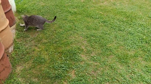 Охотница и жертва