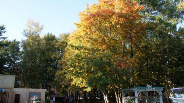 Осенний вальс