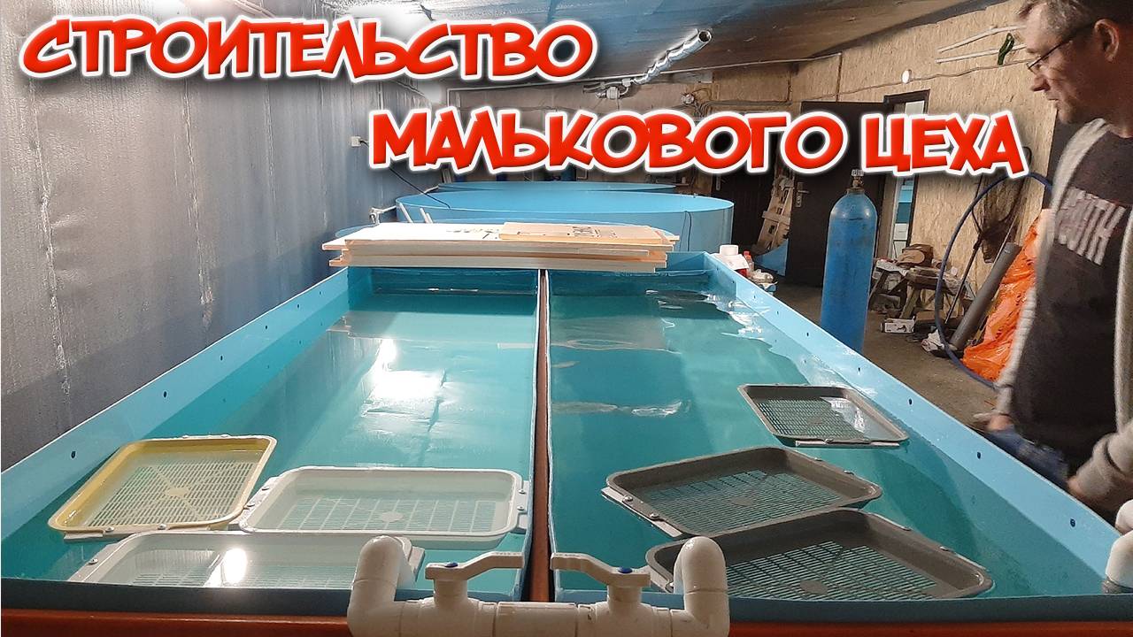 Мальковый цех УЗВ.