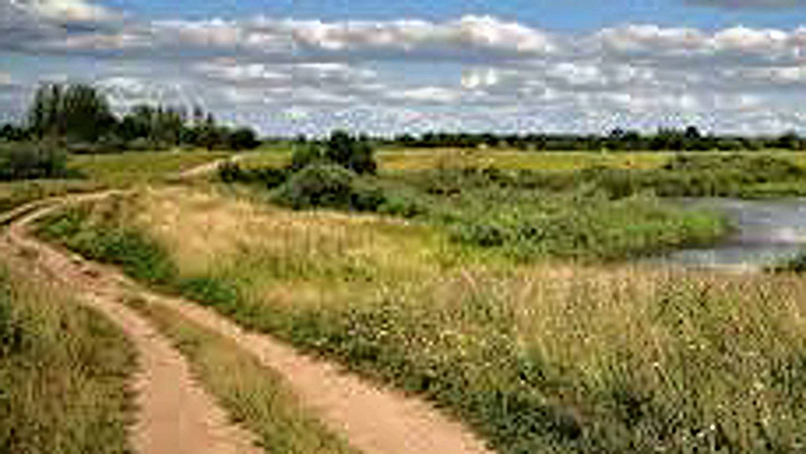 360. Малая Родина. Дер. Залесская. Вятка.