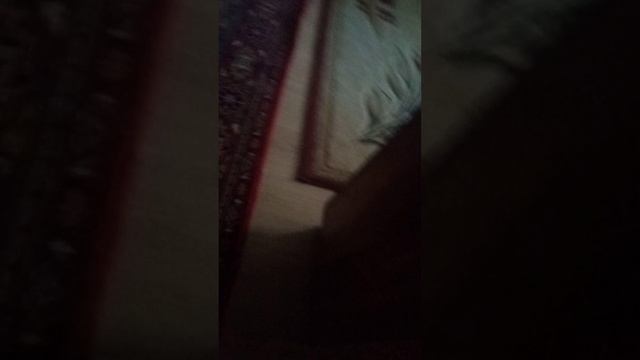 аномалия 1 часть