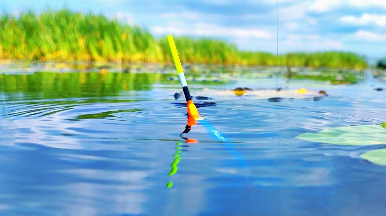 ДУМАЛ РЫБАЛКА А ТУТ ПРОМЫСЕЛ!!!  Осенняя рыбалка на поплавок.