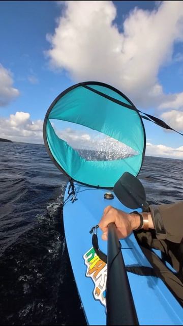 Установил парус от SUP доски на каяк одиночку - МНЕ ПОНРАВИЛОСЬ