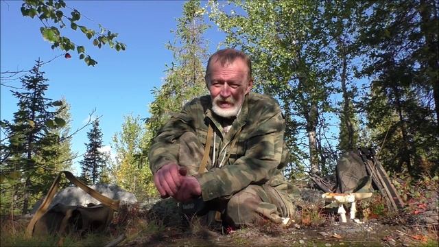 Совет зрелым людям. Проверено. Работает.  Север. 15.09.25.