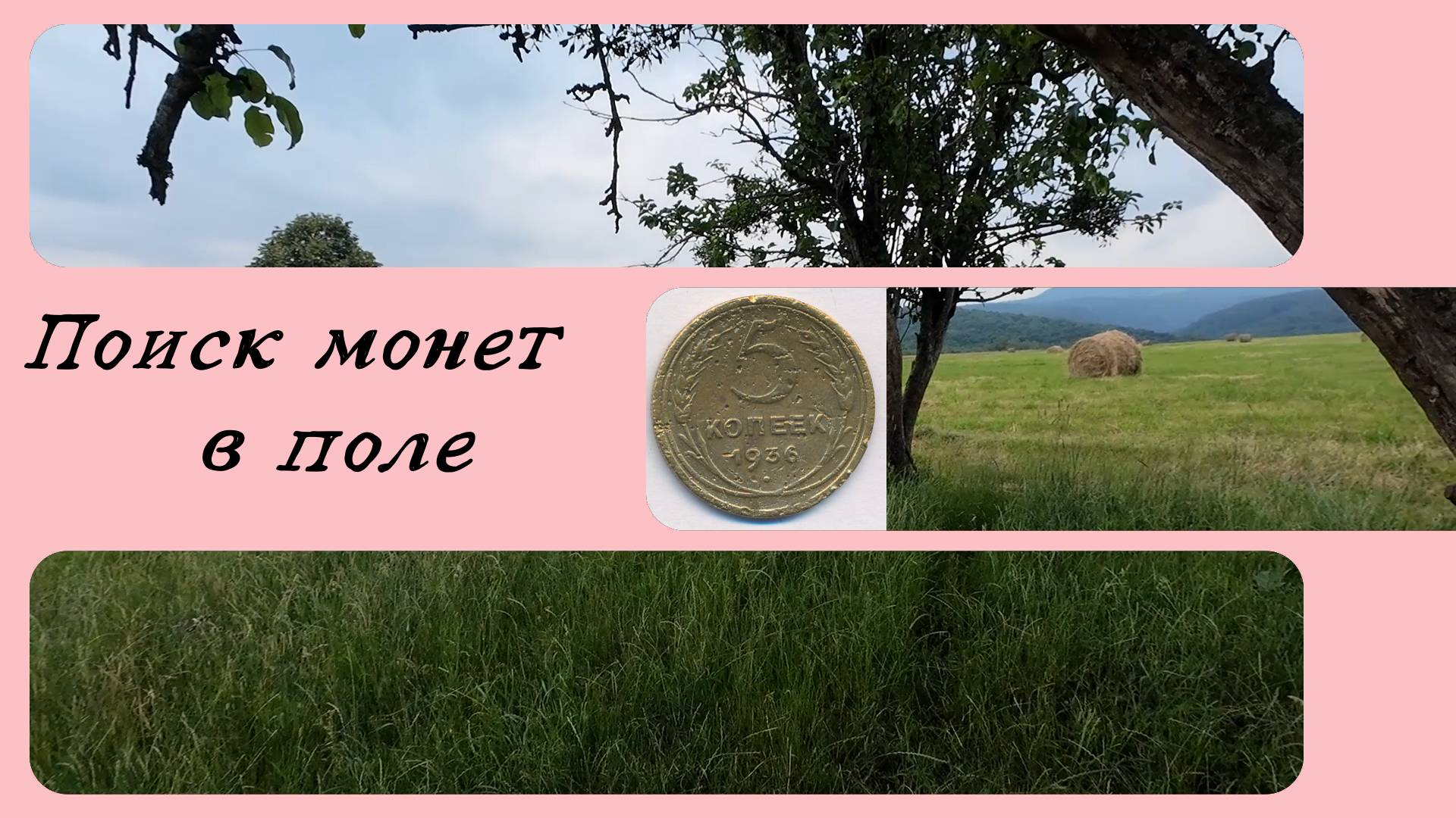 Поиск монет в поле.