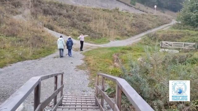 "Мандала рода". Мировое Древо, ОЭС,Зерно Духа,Звёздный род,творении новой судьбы фамилии,рода,народа