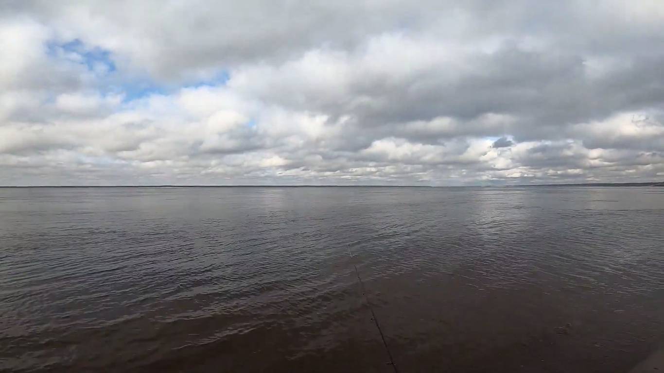 Дикий клёв. Трофейная рыбалка...