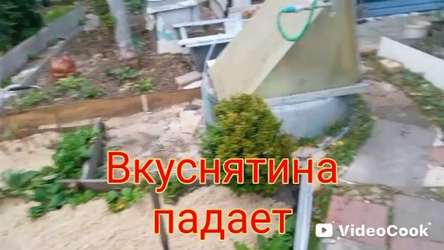 На участке что-то происходит