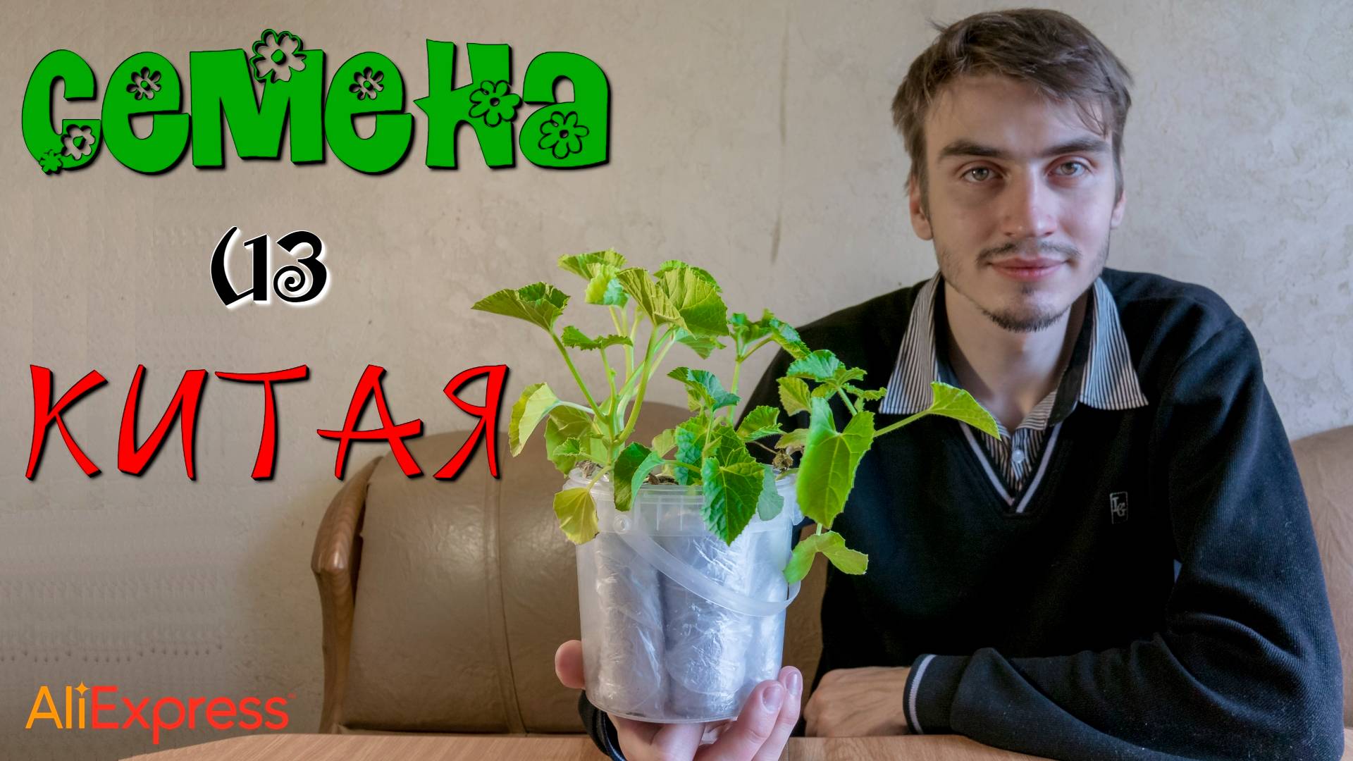 Большая распаковка различных семян из Китая | Опыт выращивания семян по методу "Улитка" 🌱