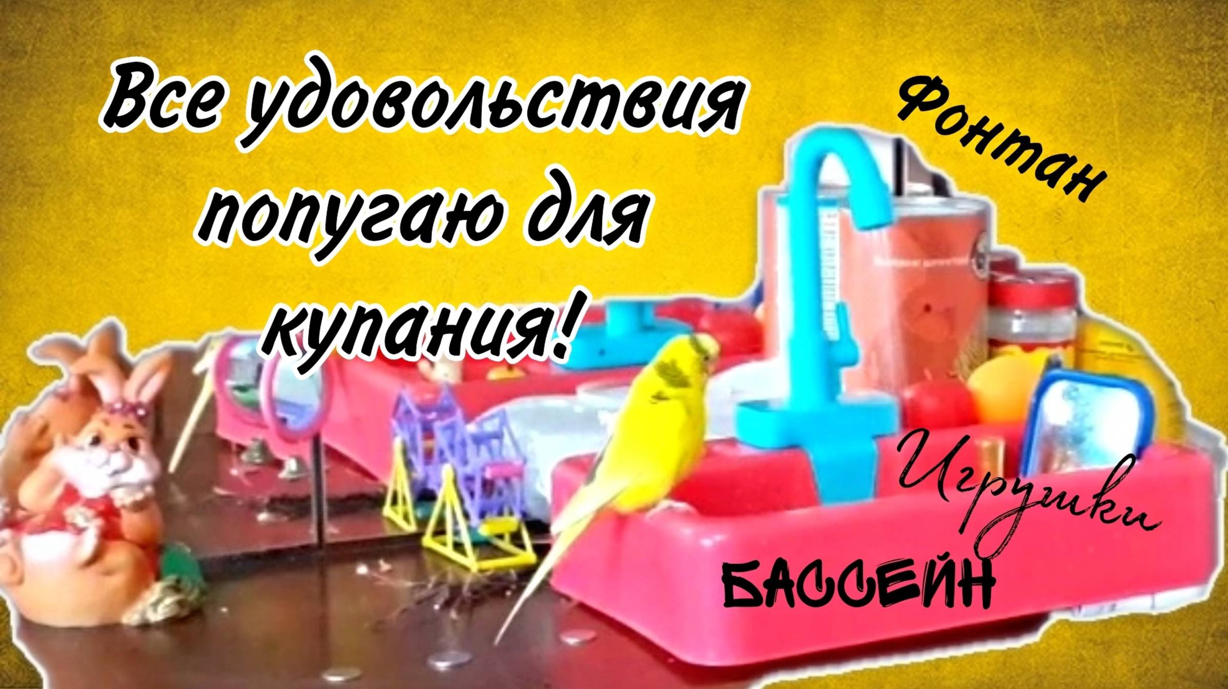 КЛАССНЫЙ ФОНТАН - БАССЕЙН ДЛЯ ПОПУГАЕВ, БУДУТ ЛИ КУПАТЬСЯ? #фонтандляпопугая