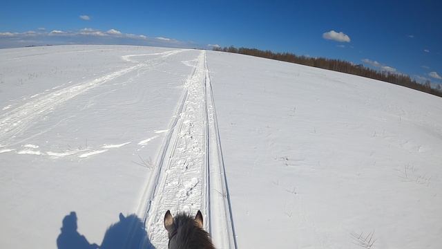 GH010310 прогулка на лошади