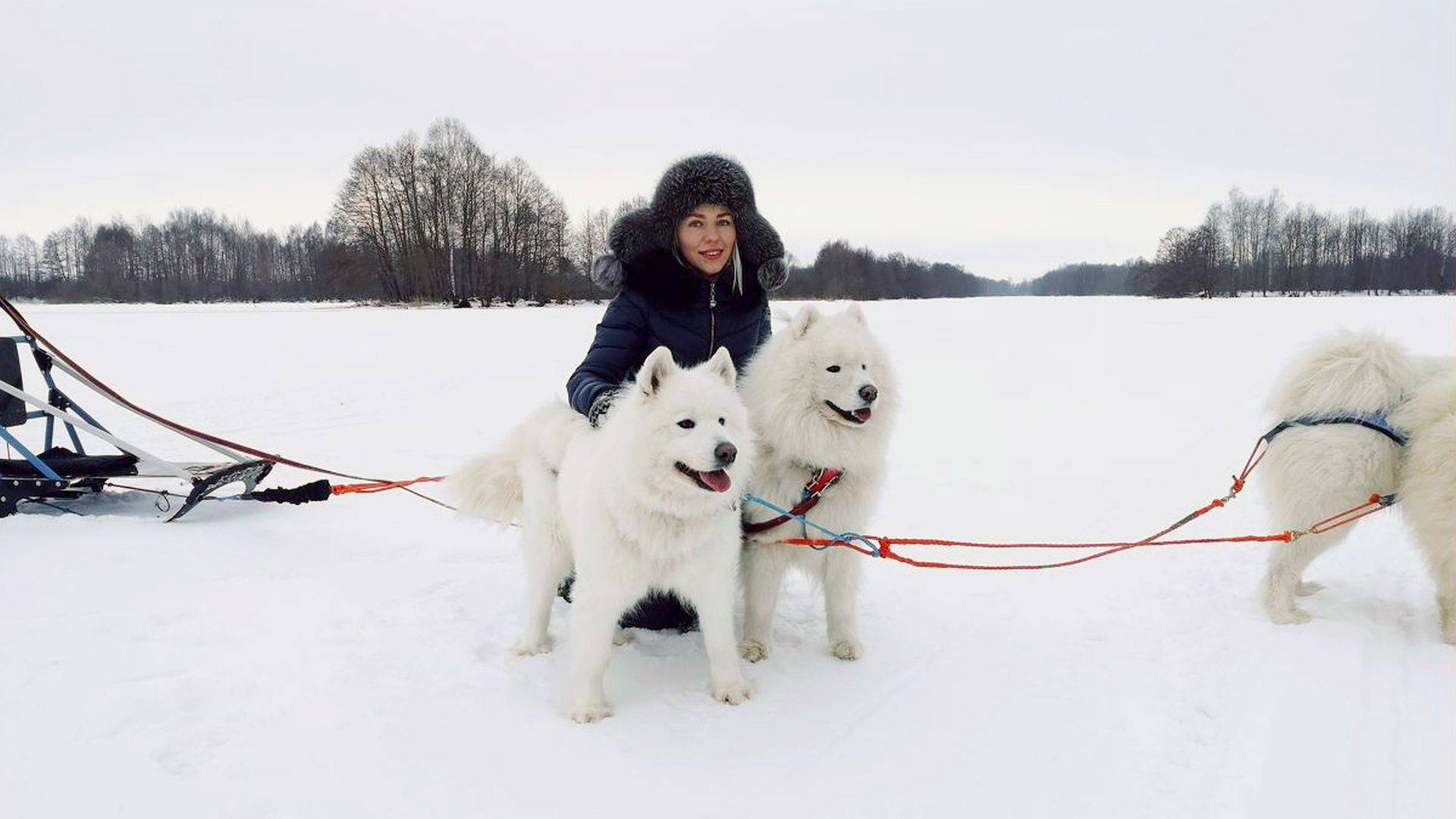 База отдыха «Щукино»: зимние развлечения