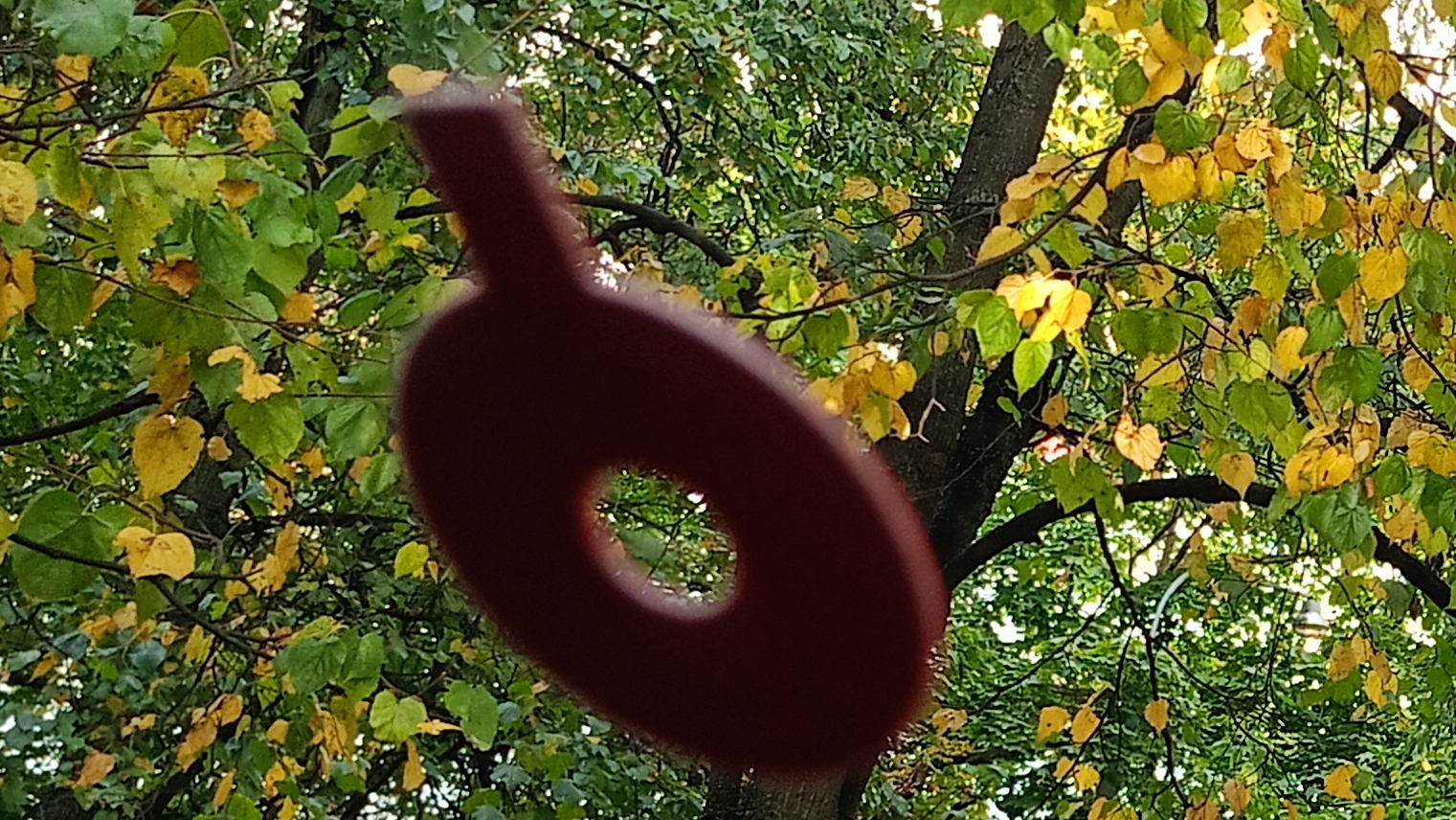 Ремонт скол на лобовом стекле