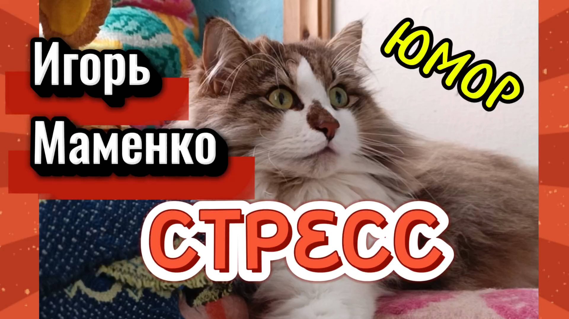 Кошки с озвучкой.