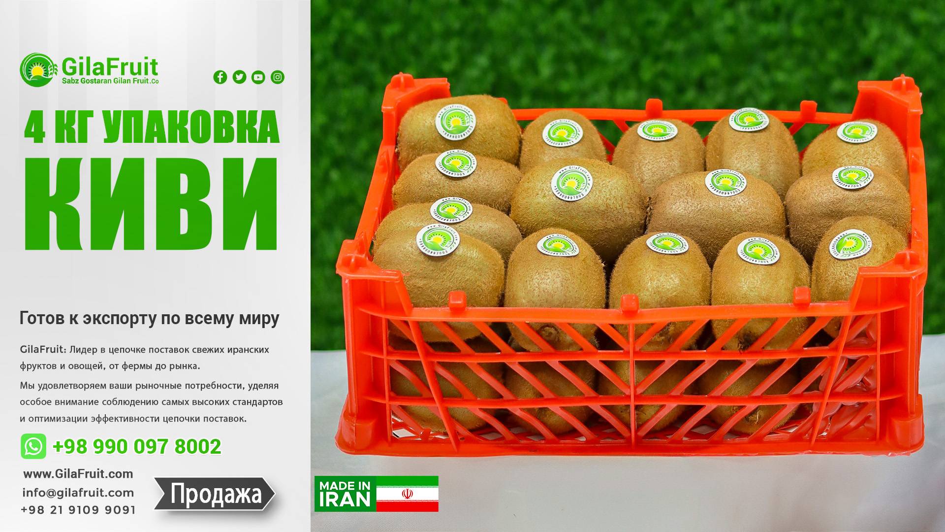 4 кг упаковка киви