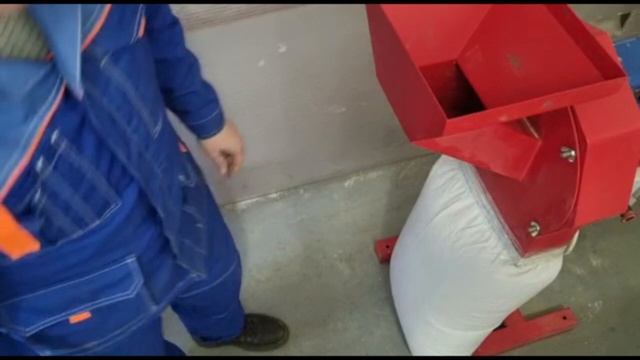 Molot800_имбирь