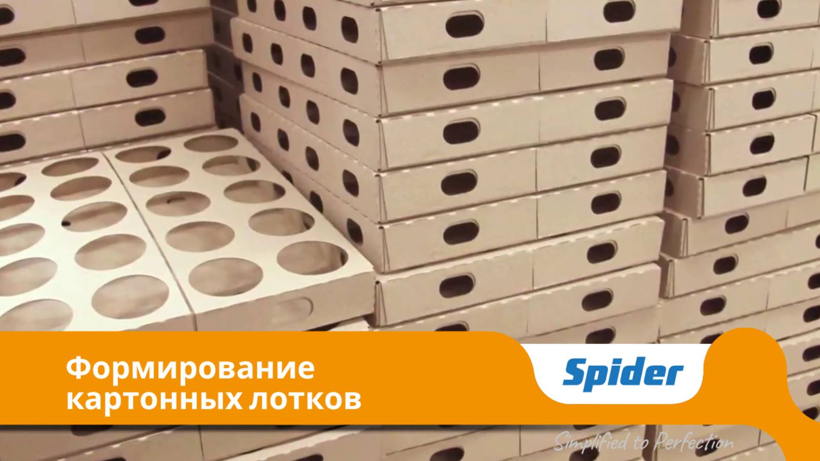 Spider|Формированиекартонных лотков