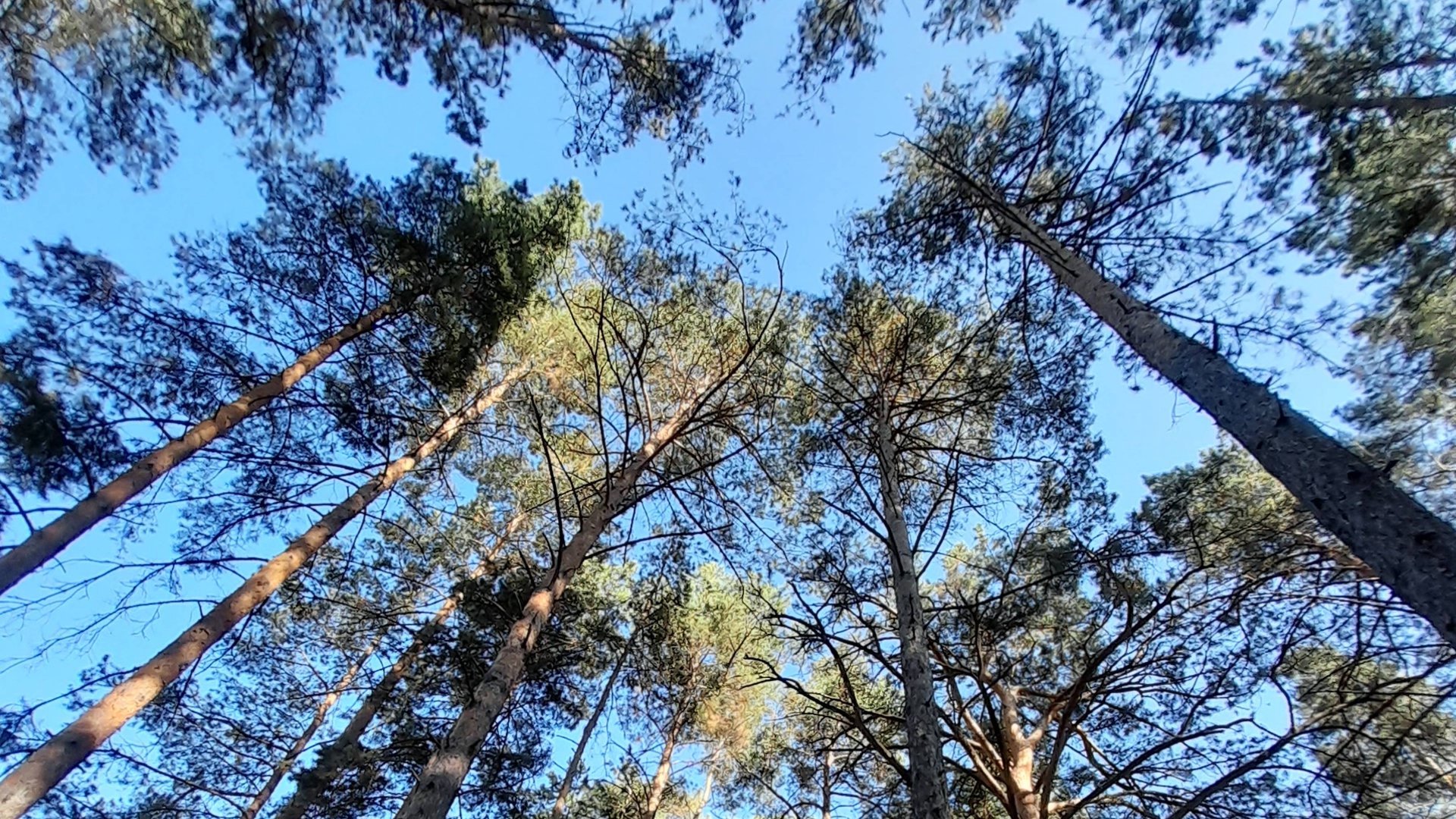 20250918_152920 В санатории. Ну ты и дятел!