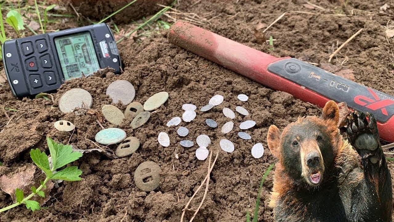 Как я раскопал редкие монеты в старом лесу с МЕДВЕДЕМ