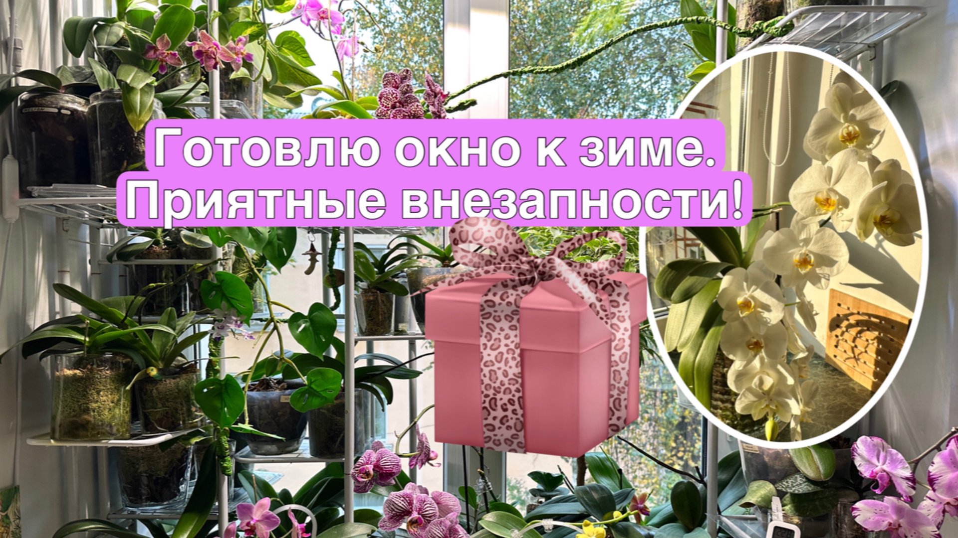 Распаковка подарков и утепление орхоокна к зиме новым способом