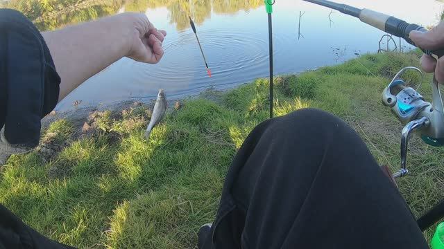 Карась на поплавок - классика рыбалки! 18.09.2025 г.