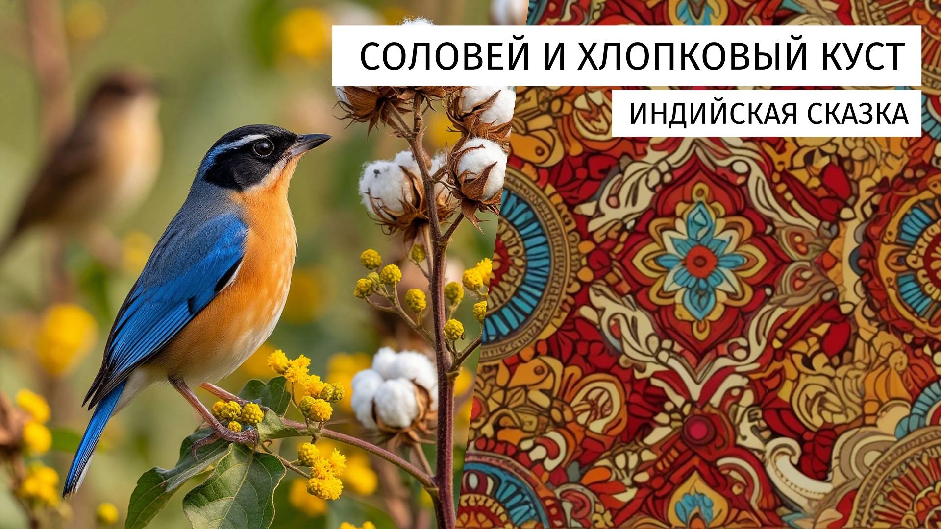 Соловей и хлопковый куст. Индийская сказка.