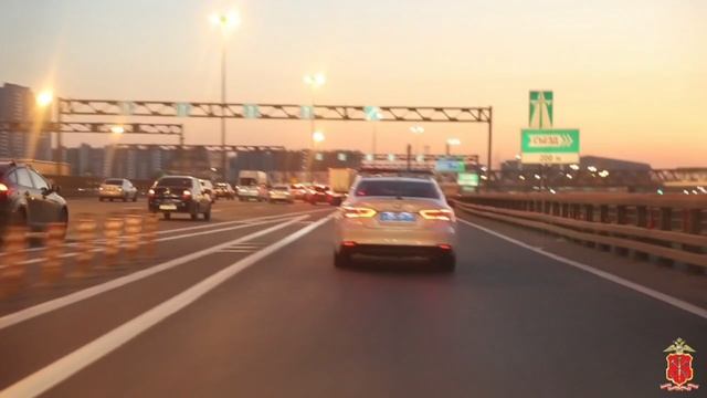 Полиция Петербурга провела очередной профилактический рейд на городских магистралях