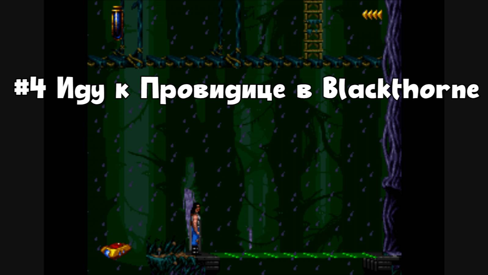 #4 Иду к Провидице в Blackthorne