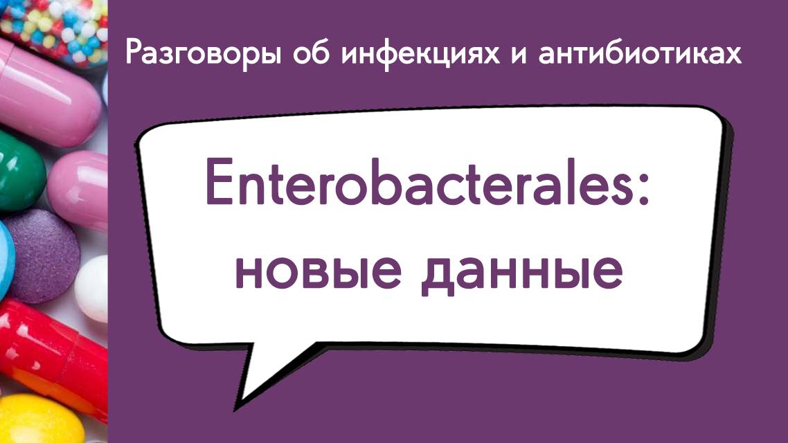 Enterobacterales: новые данные