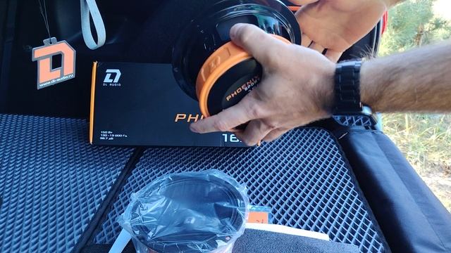 Обзор эстрадной акустики DL-AUDIO Phoenix Sport 165